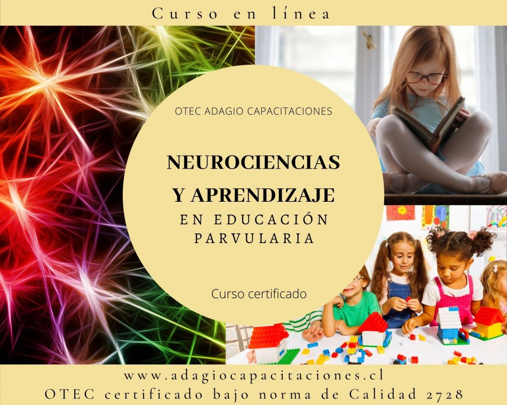 Neurociencias y aprendizaje – Adagio Capacitaciones